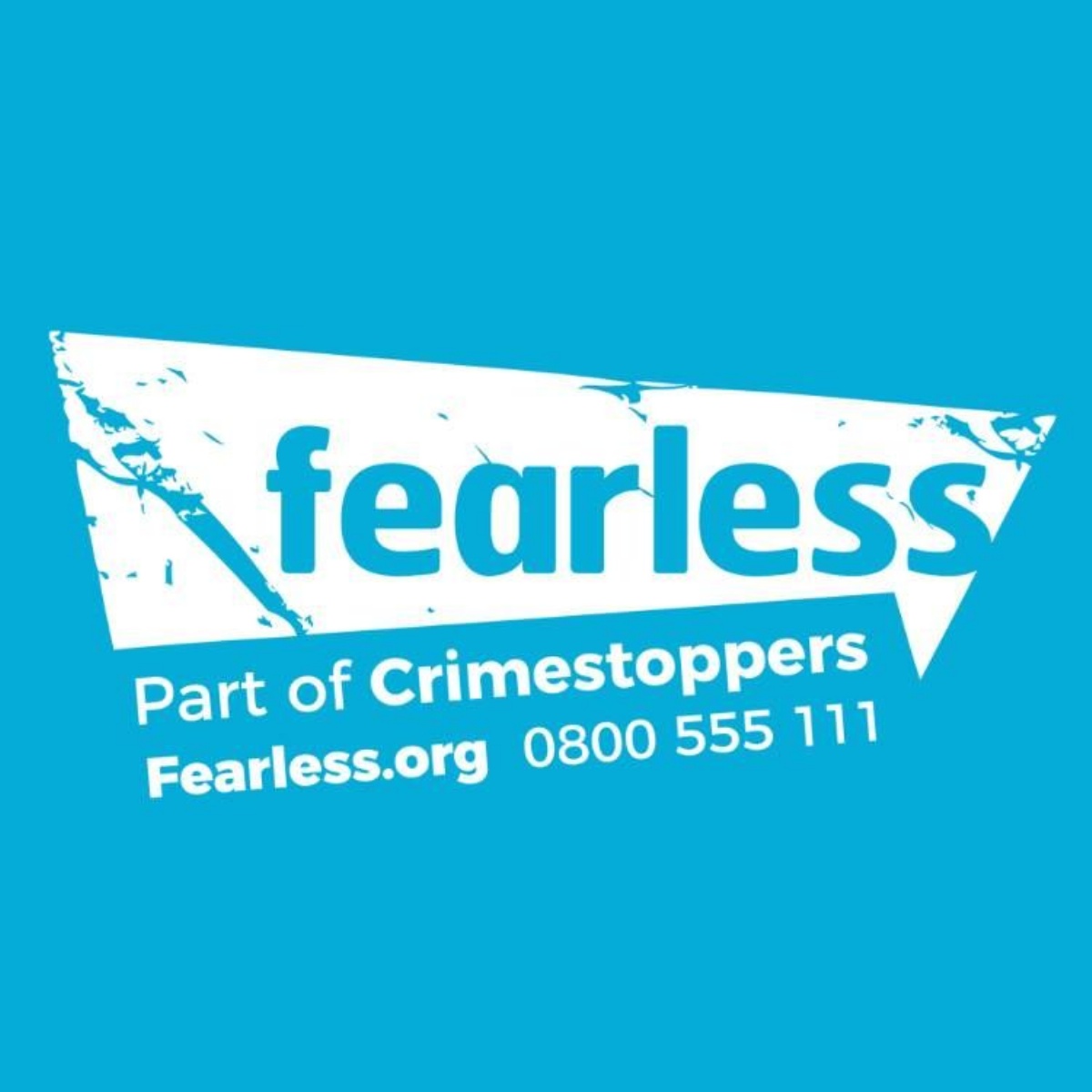 Emerson Park Academy - Fearless & Immobilise